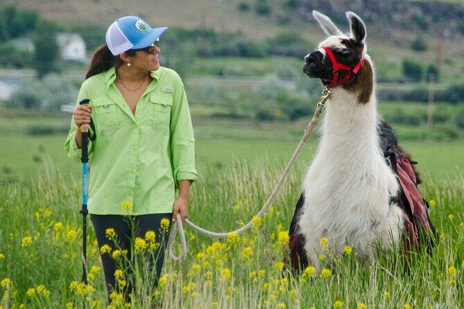 Llama Hike and Farm Tour - What to Expect at Each Part of the Tour
