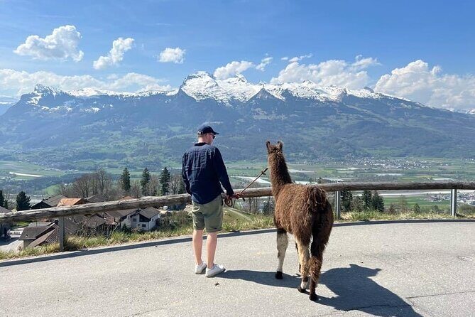 Llama hike through the wonderful Liechtenstein mountains - The Experience: What to Expect on the Trail