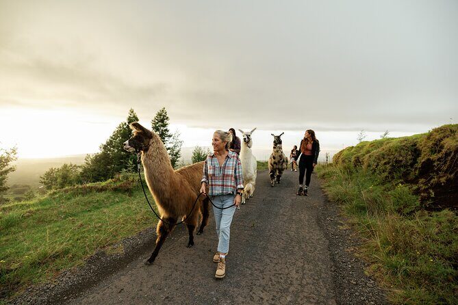 Llama Sunset Hike - Cancellation Policy and Flexibility