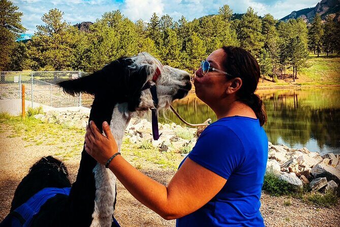 Llama to Lunch in the Rocky Mountains - Discovering Staunton State Park: A Scenic Beginning