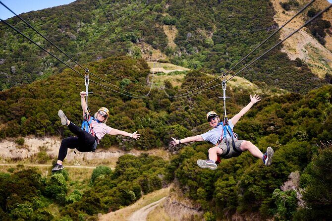 Llama Trek (Half-day) - Kaikoura Bay, Beaches & Seal Colony - The Sum Up
