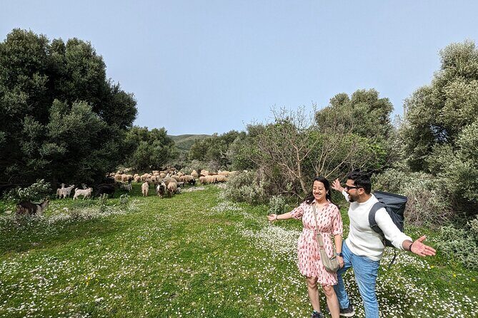 Llogara Caesar's Path,Orikum Park & Marmiroi Church Guided Tour - What to Expect from the Itinerary