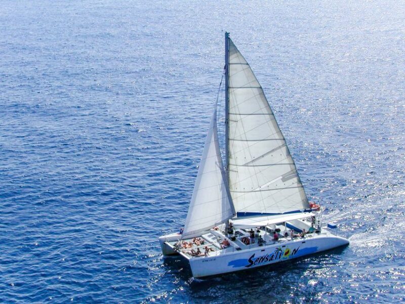 Lloret de Mar: Catamaran Sailing Cruise with BBQ and Drinks - Authentic Feedback from Travelers