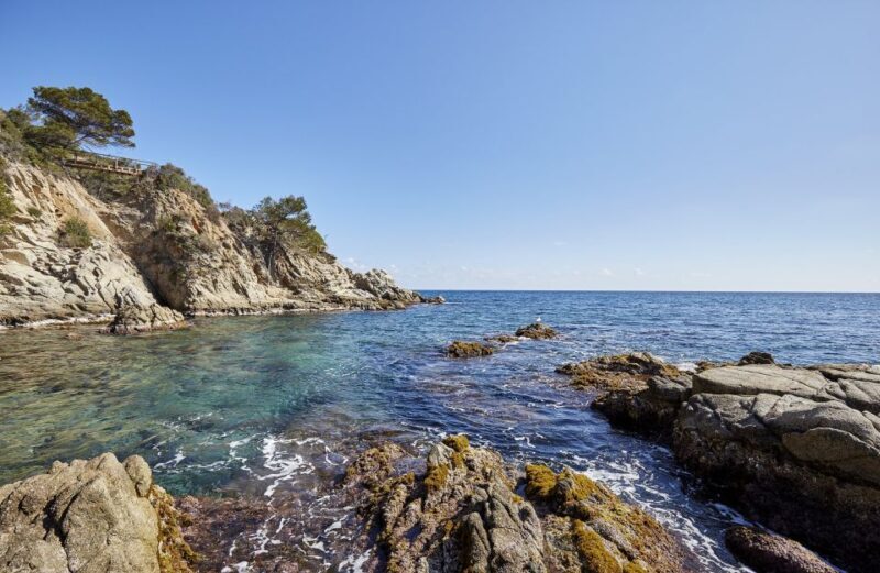 Lloret de Mar: Costa Brava Kayak Tour and Swimming - Key Points