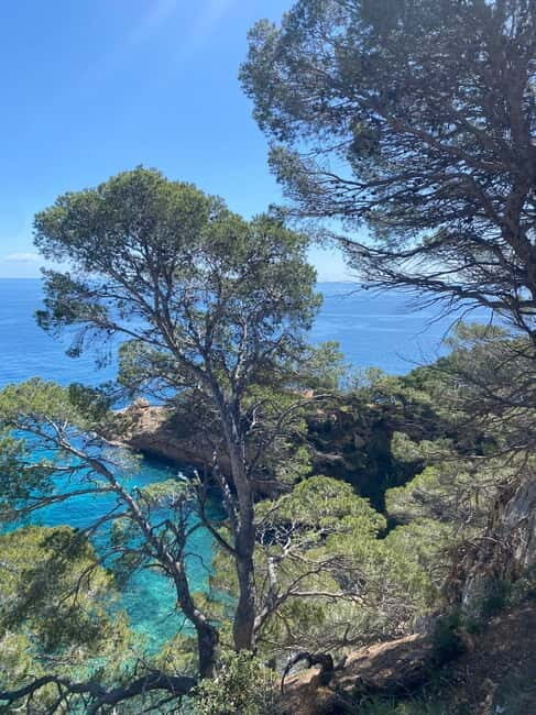 Lloret de Mar: Guided Sightseeing Tour in a 4x4 Vehicle - Final Recommendation