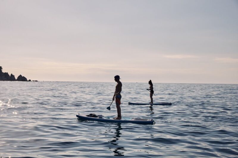 Lloret de Mar: Sunrise Paddle Board Ride with Instructor - Who This Tour Is Perfect For