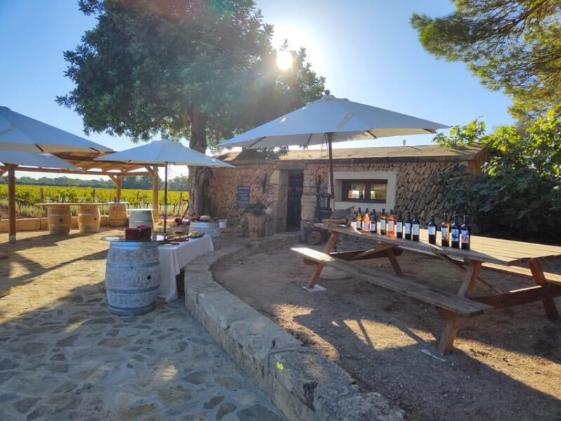 Llucmajor: Bodegas Bordoy Wine Tour - FAQ