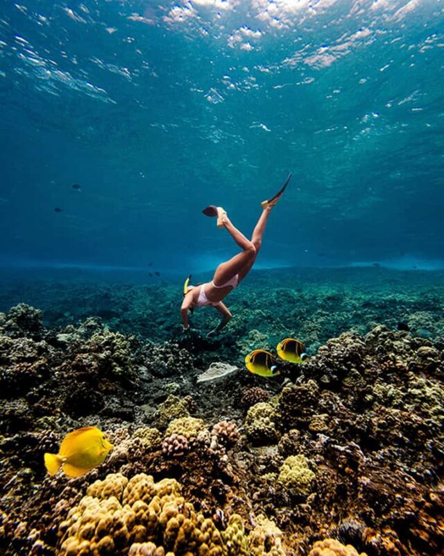 Lna'i Coast Snorkel & Sail from Lahaina - The Sum Up