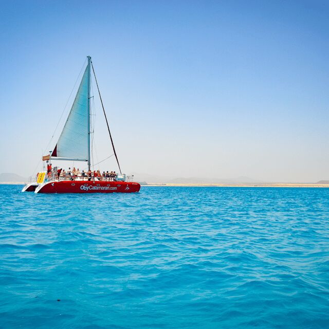 Lobos Island: 4-Hour Catamaran Trip with Lunch - Discovering Lobos Island on a 4-Hour Catamaran Trip with Lunch