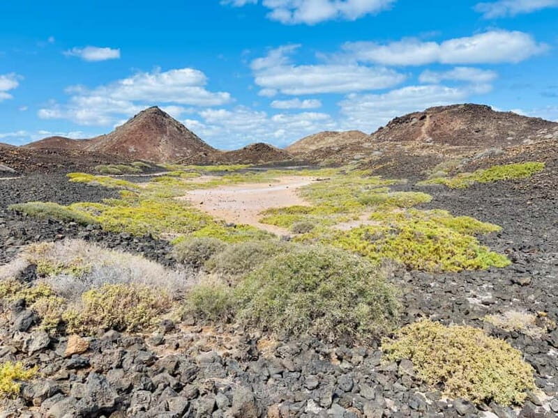 Lobos Island, Popcorn Beach, & Dunes Tour - Final Thoughts: Is This Tour Right for You?