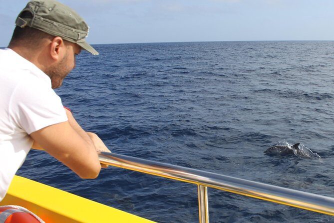 Lobos Island - The dolphin route - Final Words