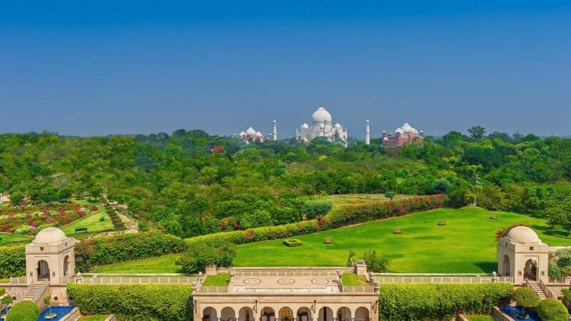 Local Agra: Private Taj Mahal Sunrise & Agra Guided Tour - What Reviewers Say