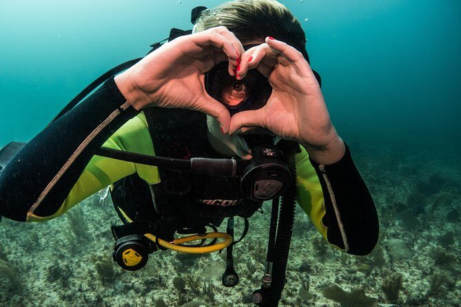 Local Dive in Playa del Carmen - An In-Depth Look at the Playa del Carmen Dive Tour