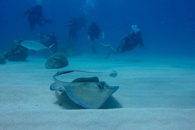 Local diving Bávaro -Double tank - FAQs