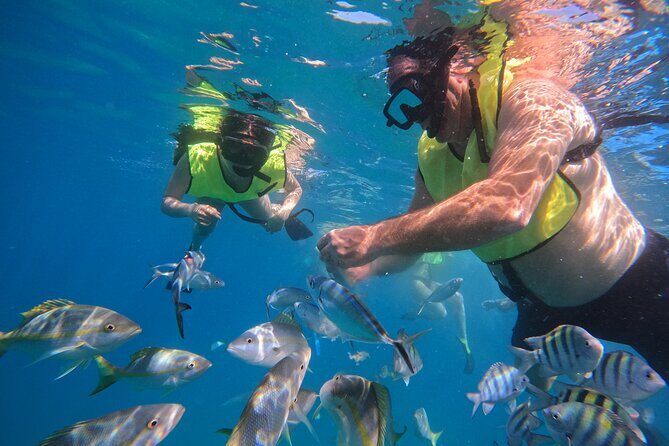 Local Excursion | Paradise Island Punto Rucia & snorkeling - Final Thoughts: Is It Worth Your Time?