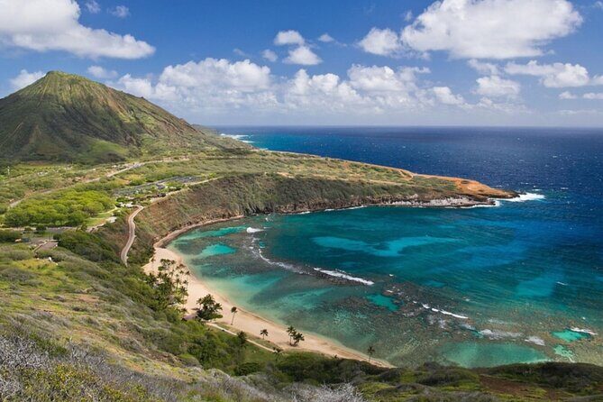 Local Expert Private Tours - Who Should Consider This Tour?