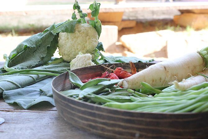 Local Farm and Village Visit with an Authentic Rajasthani Vegetarian Meal - A Genuine Taste of Rajasthan: Farm and Village Visit with Vegetarian Meal