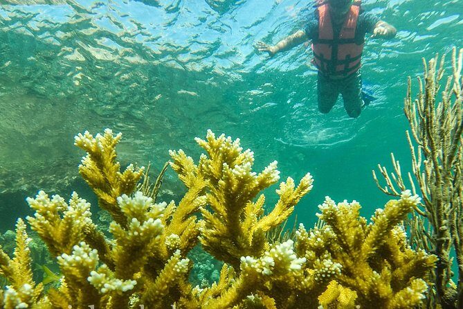 Local Fishing Plus Snorkeling Tour in Isla Mujeres - An in-depth look at the Isla Mujeres Fishing and Snorkeling Tour