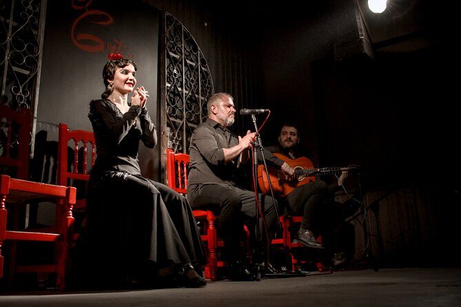 Local Flamenco Show and Workshop - Key Points