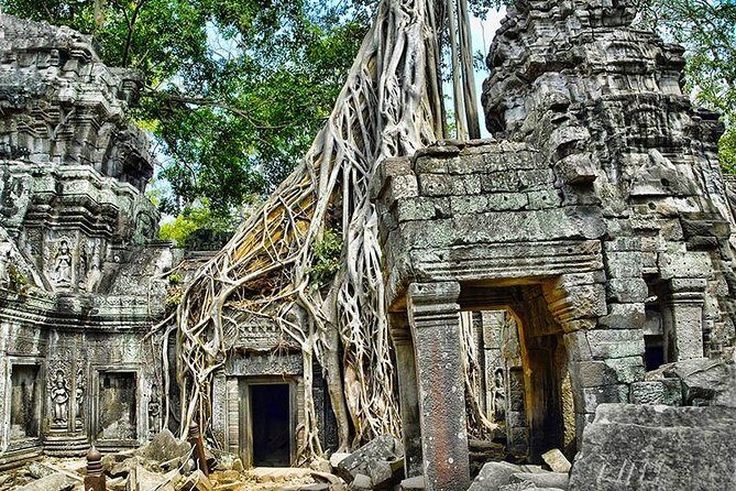 Local French Speaking Guide Angkor Wat Small-Group Tour - The Final Stops and Drop-Off