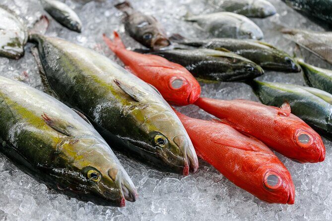 Local fresh fish shop premium backyard experience - A Closer Look at the Experience