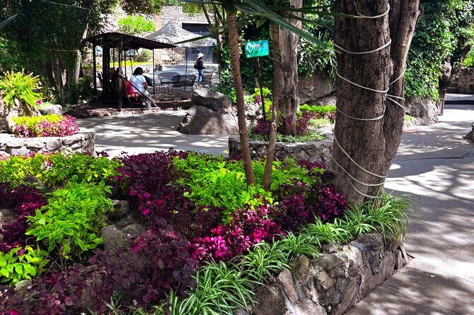 Local Fun from CDMX to The Grotto and the Pyramids of Teotihuacá - FAQs