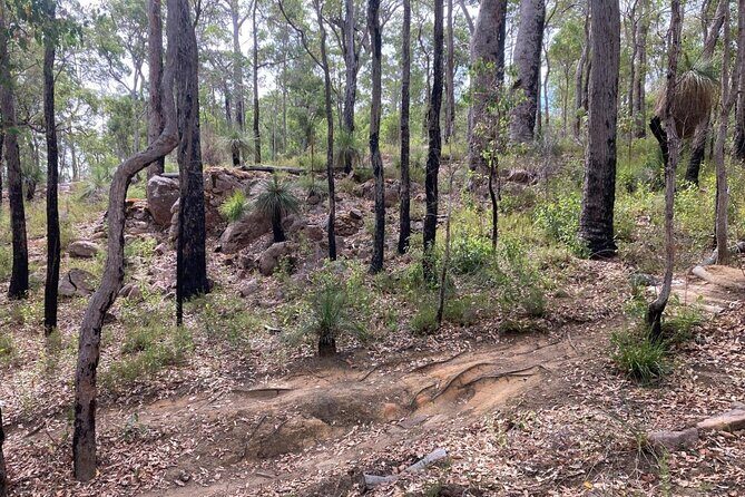 Local Gems 3 Hour MTB Small Group Tour - Exploring Margaret River on Two Wheels