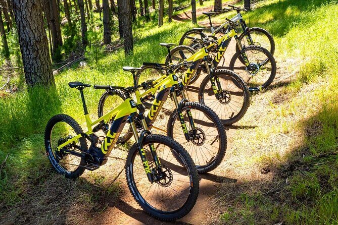 Local Gems 3 Hour MTB Small Group Tour - The Value of the Experience