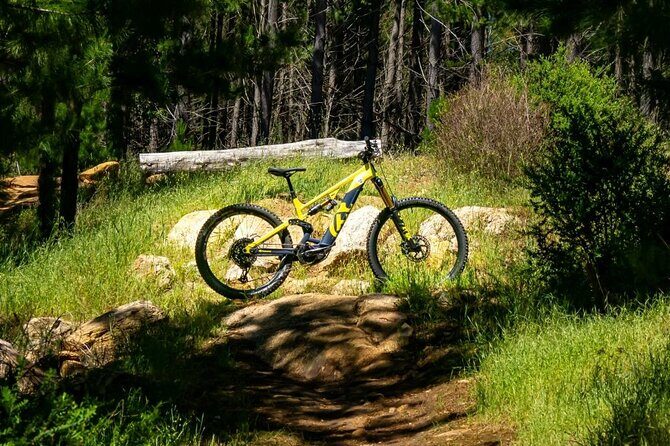 Local Gems 3 Hour MTB Small Group Tour - Who Should Consider This Tour?