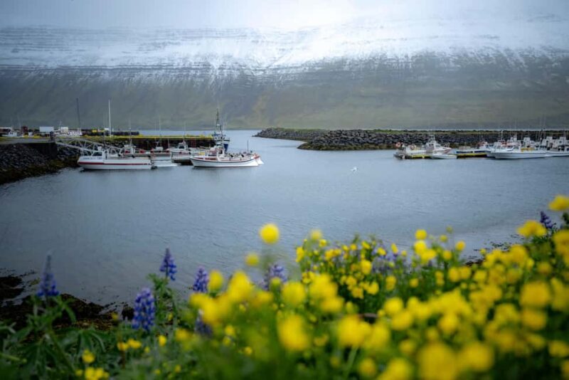 Local Guide Private Tour from Ísafjörður-Flexible Itinerary - Surprises and Hidden Gems