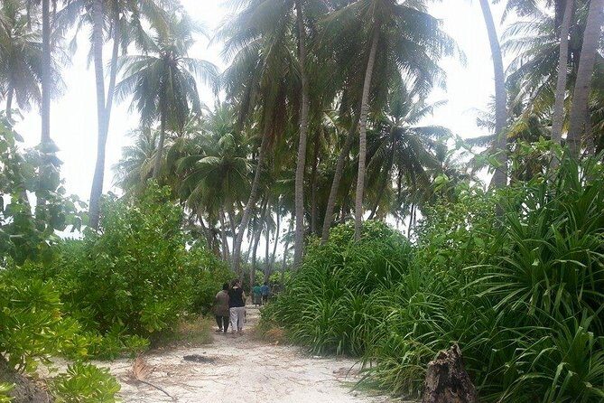 Local Island Day Trip from Hulhumale - Why This Tour Outshines Other Options
