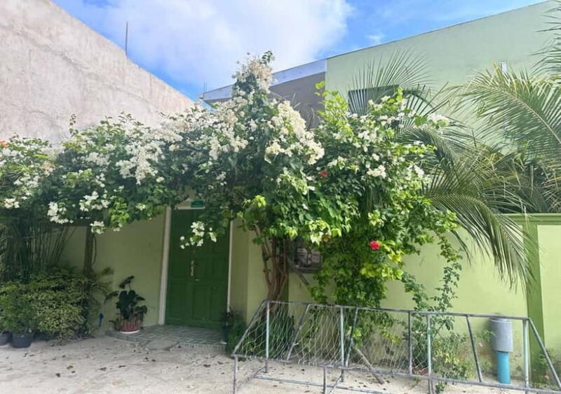 Local island(Himmafushi) tour from Male'/ Hulhumale Maldives - Key Points