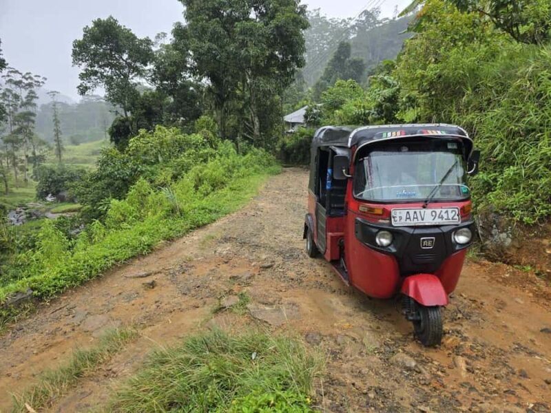 Local Life, Food & Nature Around Kandy by Tuk-Tuk - Authenticity and the Experience of a Lifetime