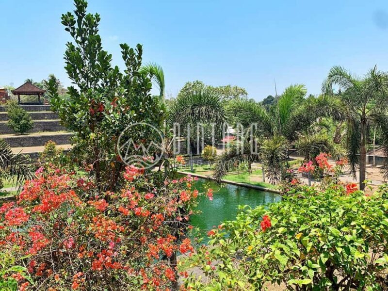 Local Lombok City Tour on a Scooter - An In-Depth Look at the Lombok Scooter Tour