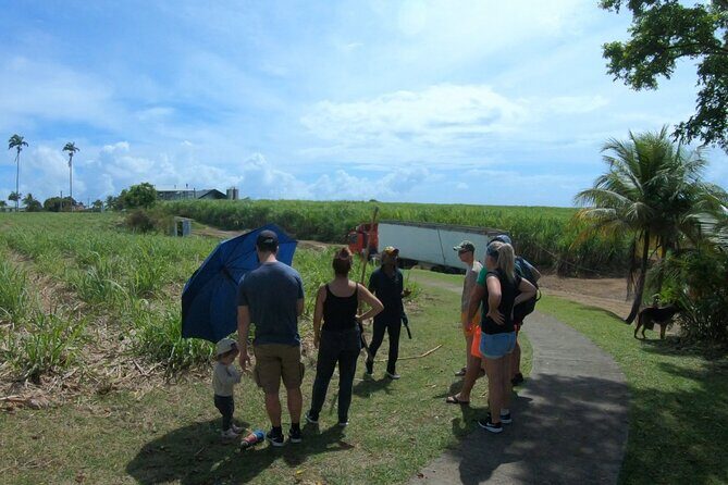 Local Market, Crayfish Waterfall and Rum Distillery with Tasting - Authenticity and Value