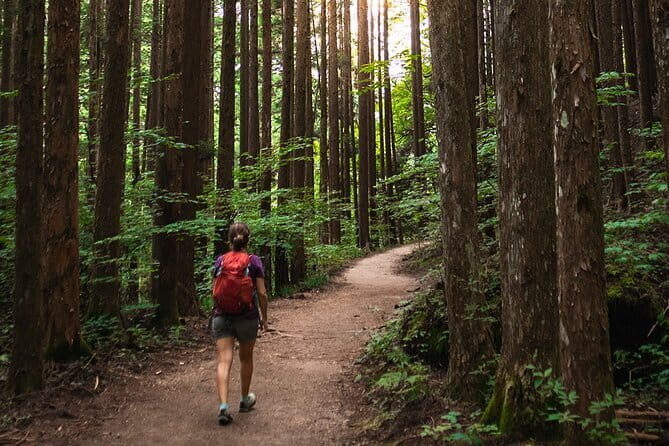 Local Traditions of Magome and the Nakasendo Road: From Nagoya - Who Should Consider This Tour?