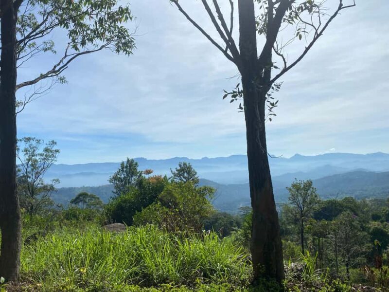 LOCATION: Hanthana to Galaha Pekoe Trail Stage 01 Trek - Final Words