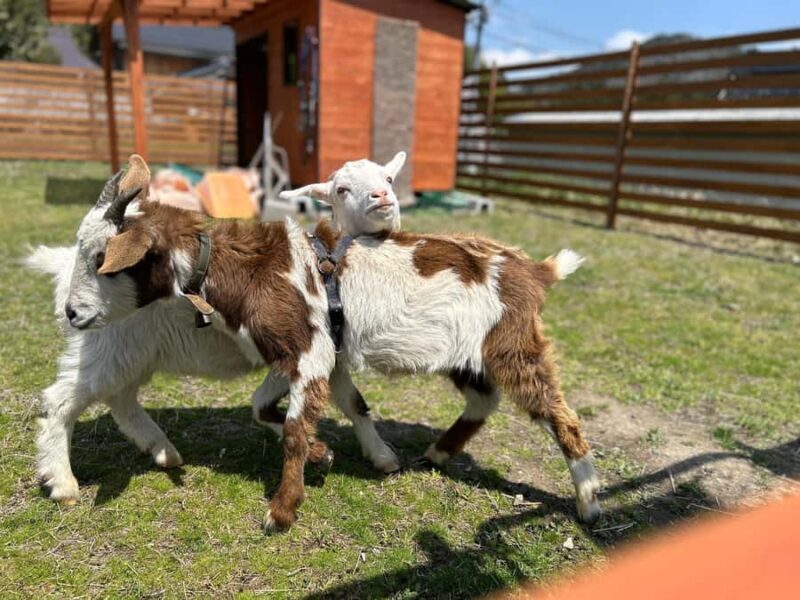 LOCATION:Kyoto City Japanese Caregiving Culture Tour - FAQ