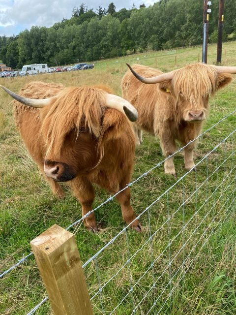 LOCH NESS, INVERNESS, CLAVA CAIRNS & MORE FROM INVERGORDON - FAQ