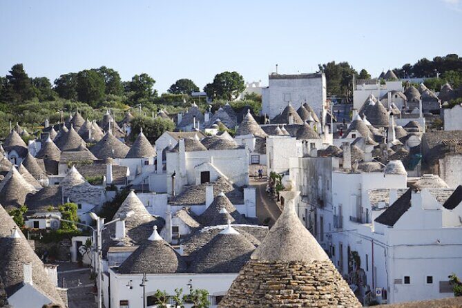 Locorotondo, Alberobello, Martina Franca departing from Taranto - Value and Price Analysis