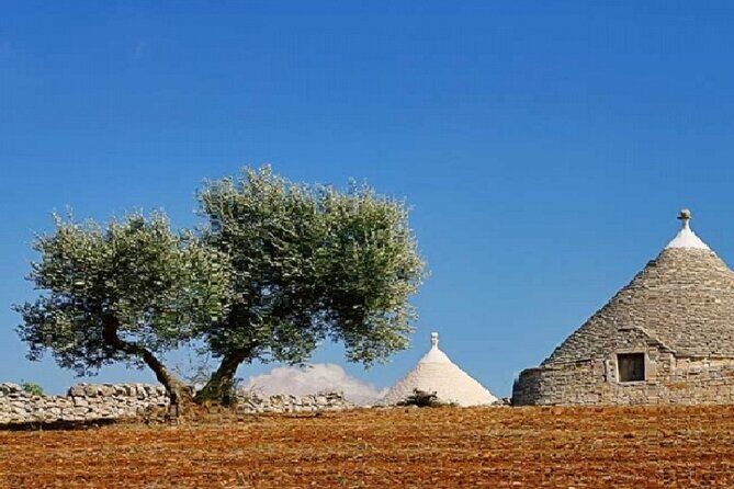 Locorotondo, Alberobello, Martina Franca departing from Taranto - What Travelers Say