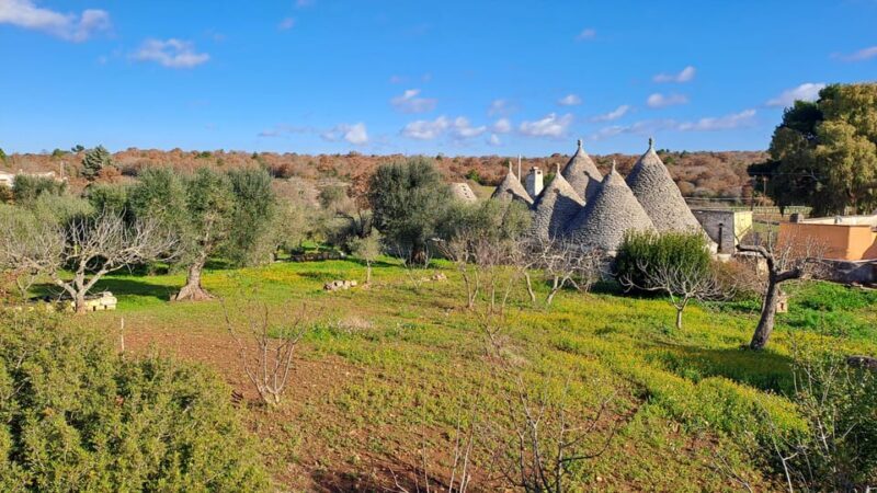 Locorotondo and Cisternino: E-Bike Tour with Ice Cream - Practical Tips for Participants