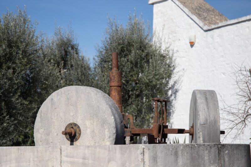 Locorotondo: Guided E-bike Tour with Olive Oil Tasting - The Sum Up