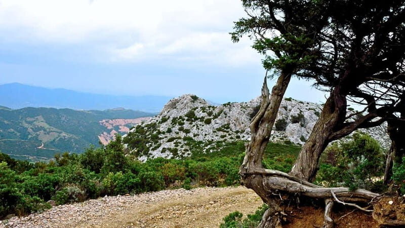 Lodè: trekking on Montalbo - An In-Depth Look at the Montalbo Trek