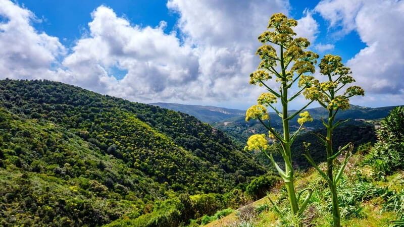 Lodè: trekking on Montalbo - Frequently Asked Questions