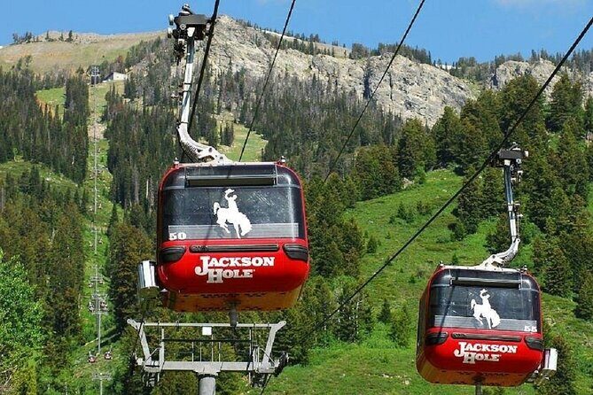Lodging at Old Faithful Yellowstone&Grand Teton Small Group 4-day - Who Will Love This Tour?
