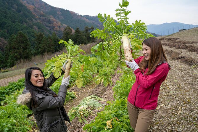 Lodging Plans with Gibier Cuisine / Tokushima, Shikoku - Who Will Love This Tour?