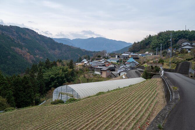 Lodging Plans with Gibier Cuisine / Tokushima, Shikoku - The Sum Up