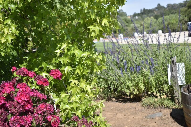 Lodi: Wine Tasting Tour Private Customized 1 -14 Group - FAQ