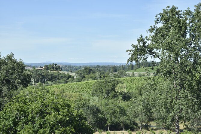 Lodi wine tasting tours Customized private 1 to 14 passenger - Exploring the Private Lodi Wine Tasting Tour